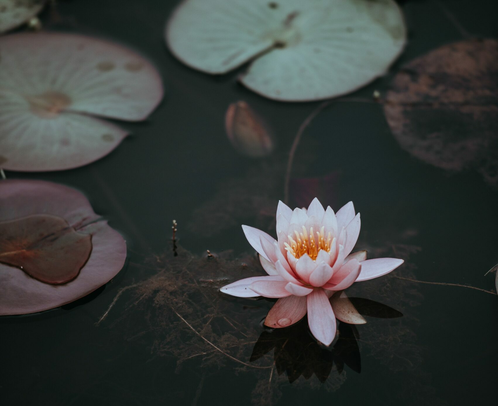 What Are the Three Selves and How Will They Change Your Life? - COR ...